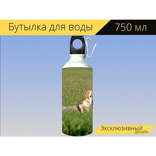 Бутылка фляга для воды "Собака, лабрадор, домашнее животное" 750 мл. с карабином и принтом