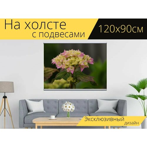 Картина на холсте "Гортензия, цветы, природа" с подвесами 120х90 см. для интерьера