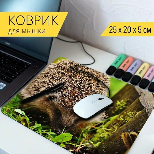 Коврик для мыши с принтом "Ежик, молодой ежик, животное" 25x20см.