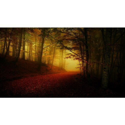 Картина на холсте 60x110 LinxOne "Дорога лес полумрак осень" интерьерная для дома / на стену / на кухню / с подрамником