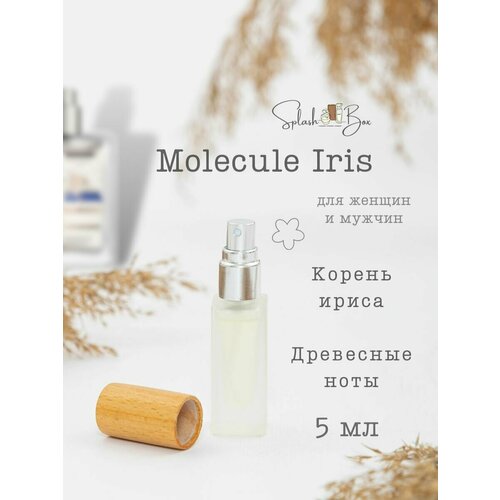 Molecule 01 Iris духи стойкие