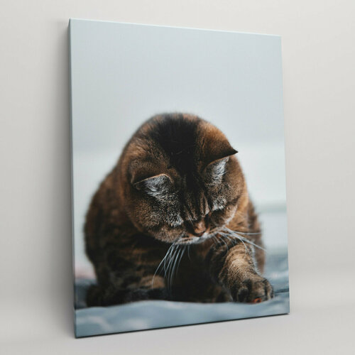 Картина на холсте (интерьерный постер) "Пушистый полосатый кот" животные, с деревянным подрамником, размер 30х40 см