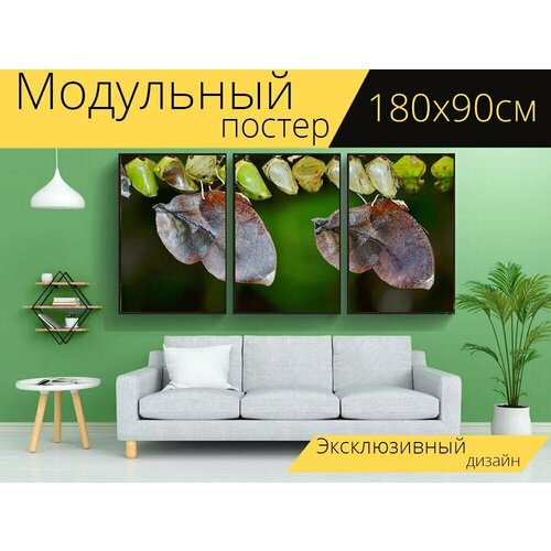 Модульный постер "Коконы, бабочки, личинка" 180 x 90 см. для интерьера