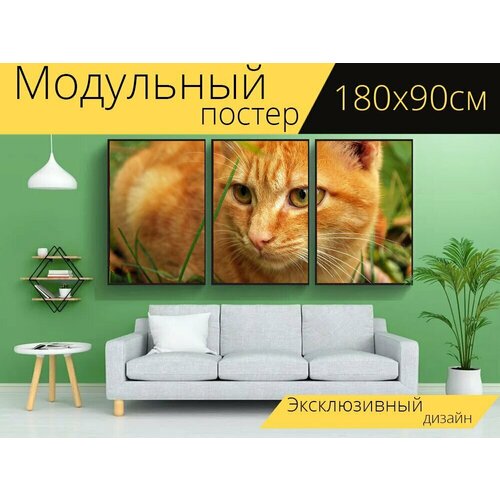 Модульный постер "Кот, кошка, кошки" 180 x 90 см. для интерьера