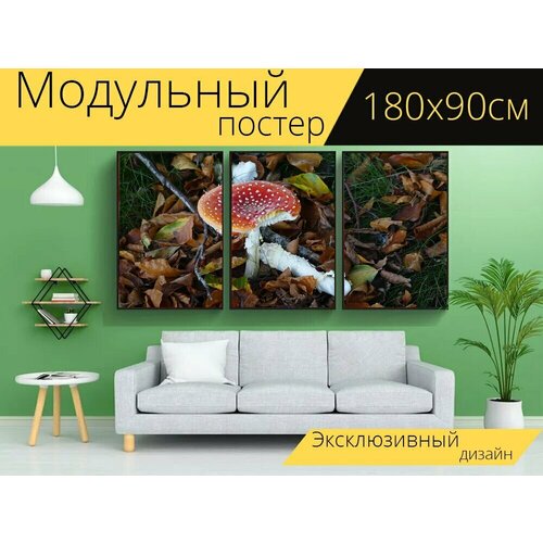 Модульный постер "Грибы, гриб, мухомор" 180 x 90 см. для интерьера