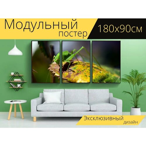 Модульный постер "Кузнечик, зеленый, закрывать" 180 x 90 см. для интерьера