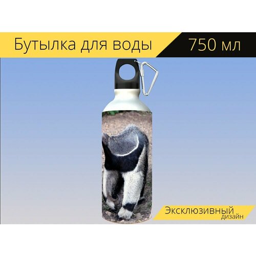 Бутылка фляга для воды "Муравьед, животное, зоопарк" 750 мл. с карабином и принтом