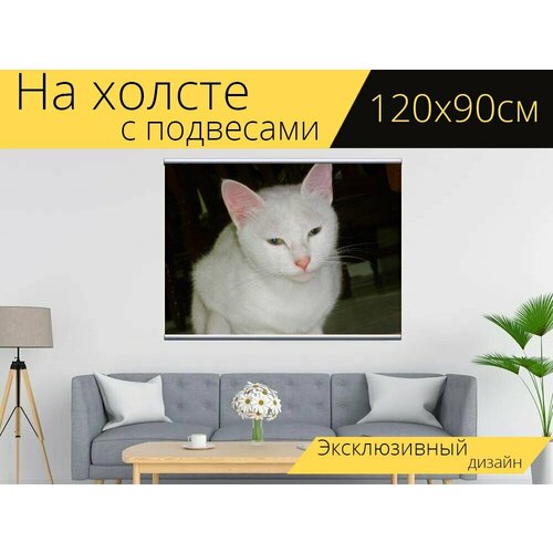 Картина на холсте "Ca, симпатичные кошки, кошачьи глаза" с подвесами 120х90 см. для интерьера