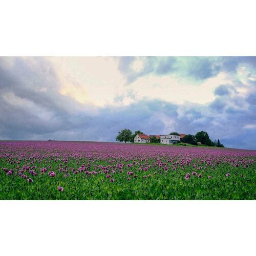 Картина на холсте 60x110 LinxOne "Небо цветы домики поле" интерьерная для дома / на стену / на кухню / с подрамником