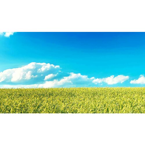 Картина на холсте 110x60 LinxOne "Облака рожь пшеница небо" интерьерная для дома / на стену / на кухню / с подрамником