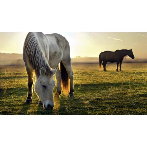 Картина на холсте 60x110 LinxOne "Трава кони пасутся вечер" интерьерная для дома / на стену / на кухню / с подрамником