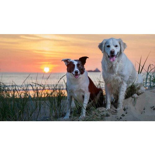 Картина на холсте 60x110 LinxOne "Собаки песок закат море" интерьерная для дома / на стену / на кухню / с подрамником