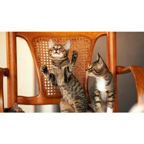 Картина на холсте 60x110 LinxOne "Котята стул пара" интерьерная для дома / на стену / на кухню / с подрамником