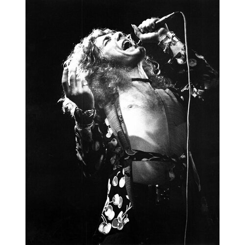Плакат, постер на холсте Led Zeppelin-Robert plant/Лед Зеппелин-Роберт Плант. Размер 60 х 84 см