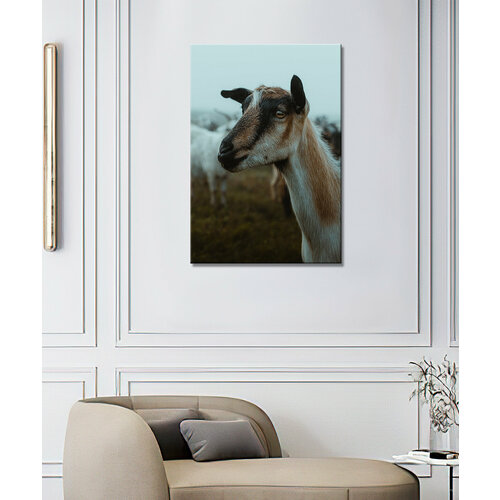 Картина -Коза, козел, безрогая коза, домашняя коза (17) 50х70