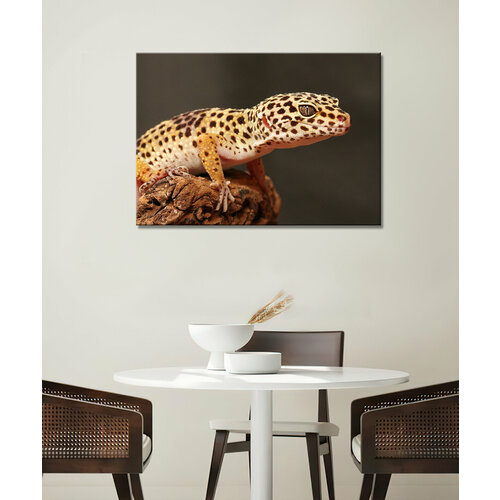Картина -Геккон, ящерица, эублефар (2) 40х60