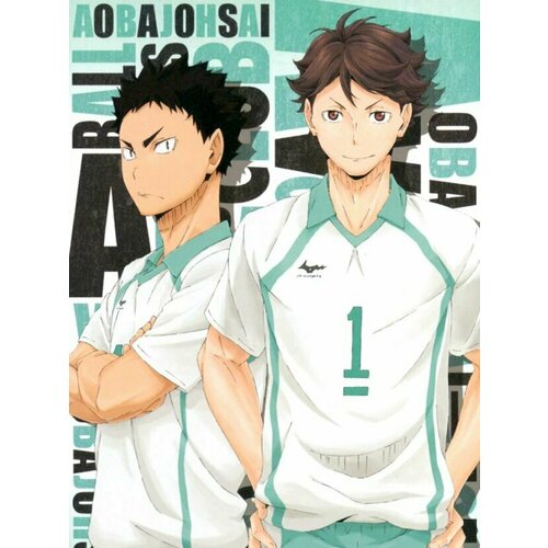 Плакат, постер на холсте Haikyuu, Волейбол. Размер 30 х 42 см