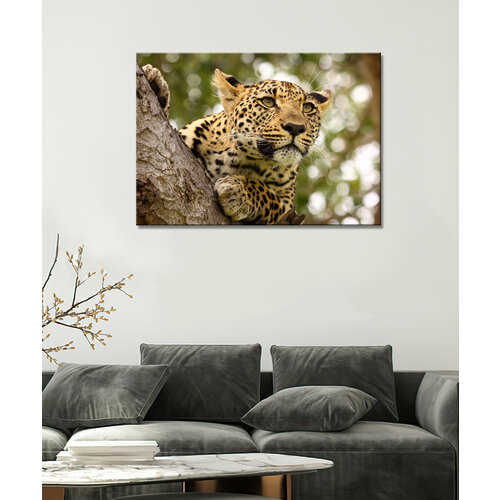 Картина/Ягур/Ягуар в джунглях/Ягуар на дереве/Черный ягуар/ - Ягуар (44) 20х30