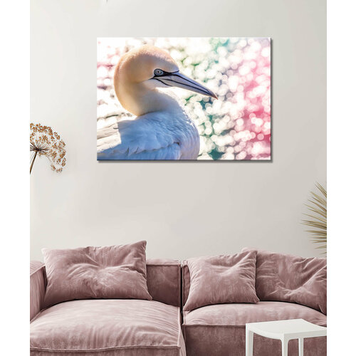 Картина - Олуша, птица олуша, олуша северная птица (20) 20х30
