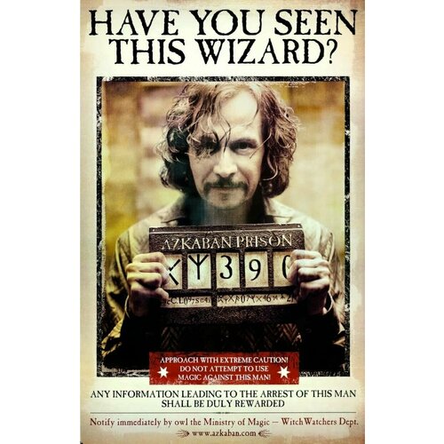 Плакат, постер на холсте Гарри Поттер и узник Азкабана (Harry Potter and the Prisoner of Azkaban, 2004г). Размер 60 на 84 см