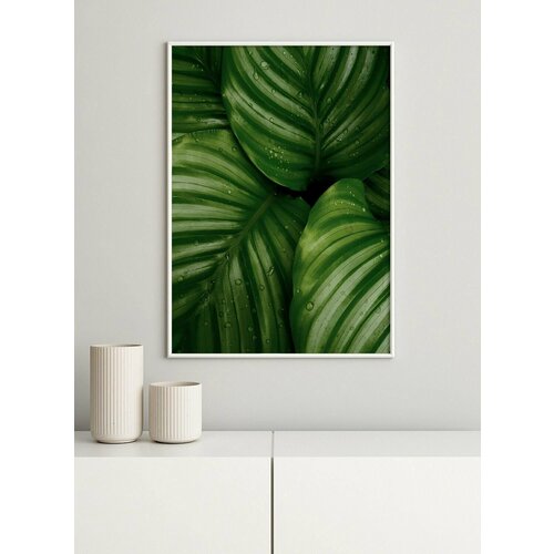 Постер для интерьера Postermarkt, 40х50 см в белой рамке, декор на стену Растение #63