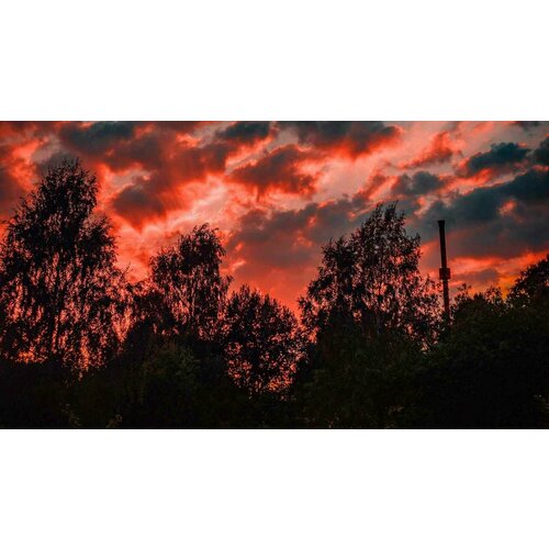 Картина на холсте 60x110 LinxOne "Деревья, закат, небо, облака, осень, вечер" интерьерная для дома / на стену / на кухню / с подрамником