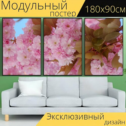 Модульный постер "Весна, швеция, цветок" 180 x 90 см. для интерьера