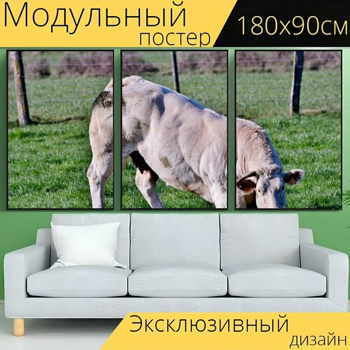 Модульный постер "Корова, на коленях, под" 180 x 90 см. для интерьера