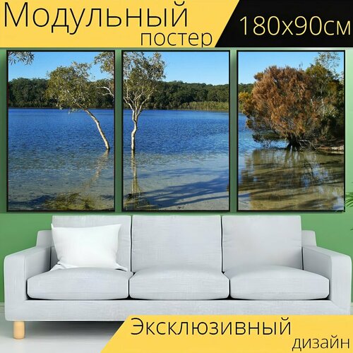 Модульный постер "Остров фрейзер, озеро, воды" 180 x 90 см. для интерьера