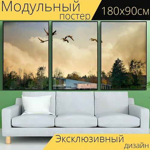 Модульный постер "Дикие гуси, московские утки, птицы" 180 x 90 см. для интерьера