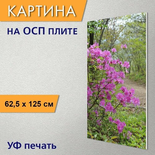 Вертикальная картина на ОСП "Гора, азалия, цветок" 62x125 см. для интерьериа