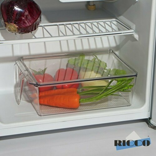 Контейнер для холодильника с крышкой и ручкой RICCO, 32×20,5×10 см, цвет прозрачный (комплект из 2 шт)