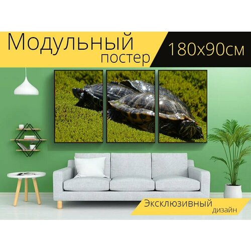Модульный постер "Животные, черепаха, зеленый" 180 x 90 см. для интерьера