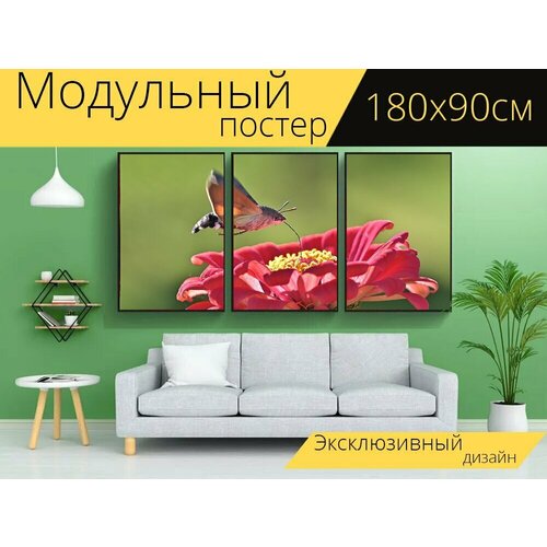 Модульный постер "Колибри ястреб моли, колибри ястребиный мотылек, мотт" 180 x 90 см. для интерьера