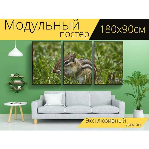 Модульный постер "Голодный бурундук, зеленая трава, бурундук тычет" 180 x 90 см. для интерьера