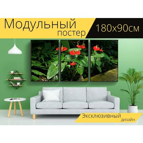 Модульный постер "Антуриум, цветок, кью" 180 x 90 см. для интерьера
