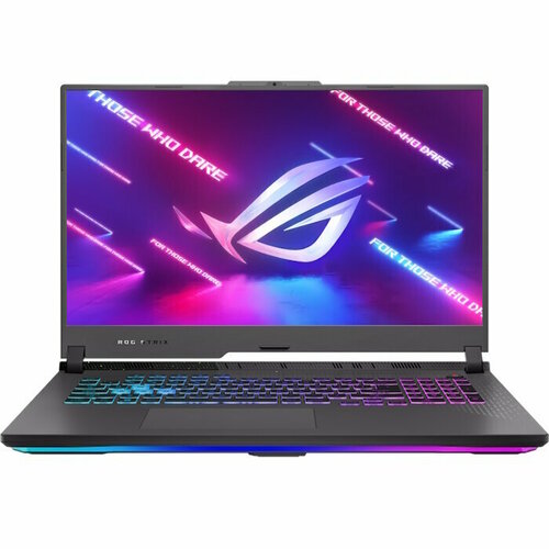 ASUS ROG Strix G17 G713PI-LL098W серый 17.3" (90NR0GG4-M008C0)