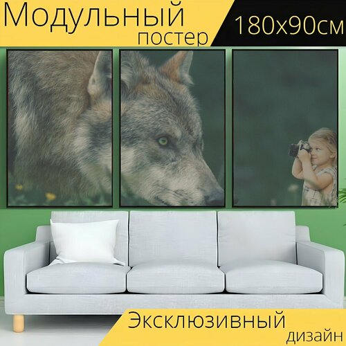 Модульный постер "Волк, ребенок, фотография" 180 x 90 см. для интерьера