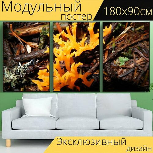 Модульный постер "Лесные грибы, осень, природа" 180 x 90 см. для интерьера