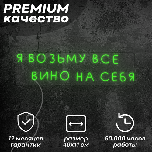 Неоновая вывеска / светильник 'Я возьму всё вино на себя', зеленный, 40х11 см, неон 6 мм, диммер