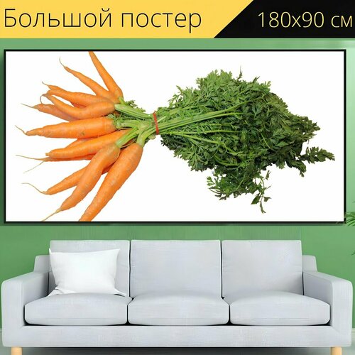 Большой постер "Изолированный, пучок моркови, овощи" 180 x 90 см. для интерьера