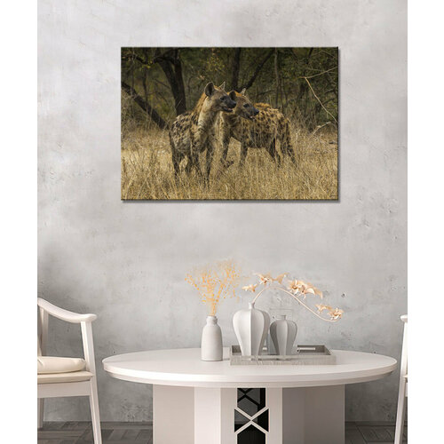 Картина - гиена, гиена в африке, хищная гиена, дикая гиена, гиена в природе (10) 20х30