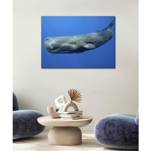 Картина - кит, синий кит, кит в океане, огромный кит, кит в воде (29) 40х60