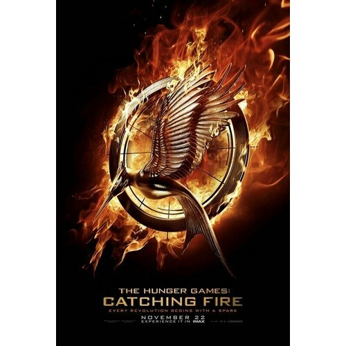 Плакат, постер на холсте Голодные игры: И вспыхнет пламя (The Hunger Games Catching Fire), Френсис Лоуренс. Размер 42 х 60 см