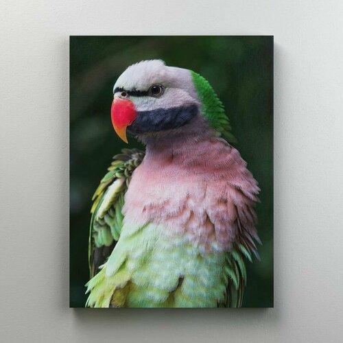 Интерьерная картина на холсте "Розовогрудый кольчатый попугай" размер 22x30 см