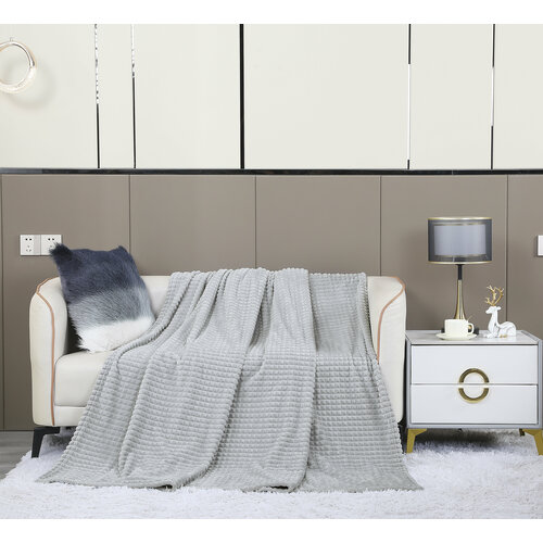 Плед 150х200 1.5-спальный Cleo CARRE велсофт пушистый светло-серый