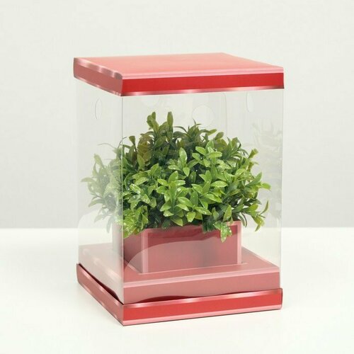 Коробка для цветов с вазой и PVC окнами складная, красный, 16 х 23 х 16 см (комплект из 6 шт)