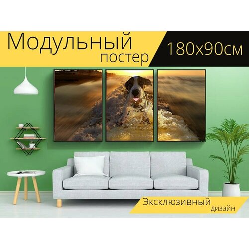 Модульный постер "Собака, серфить, море" 180 x 90 см. для интерьера