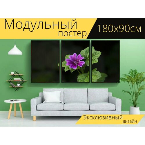 Модульный постер "Мальва, цветок, завод" 180 x 90 см. для интерьера
