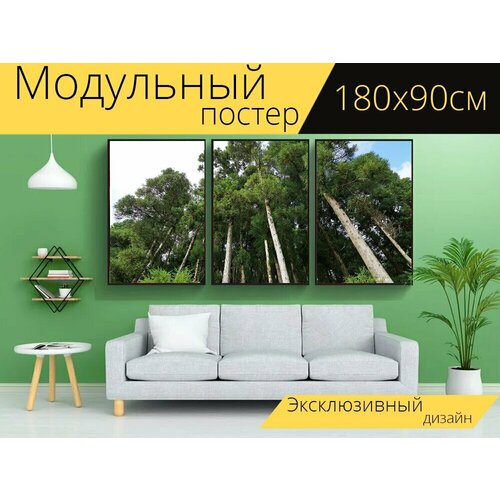 Модульный постер "Лес, зеленый, азорские острова" 180 x 90 см. для интерьера